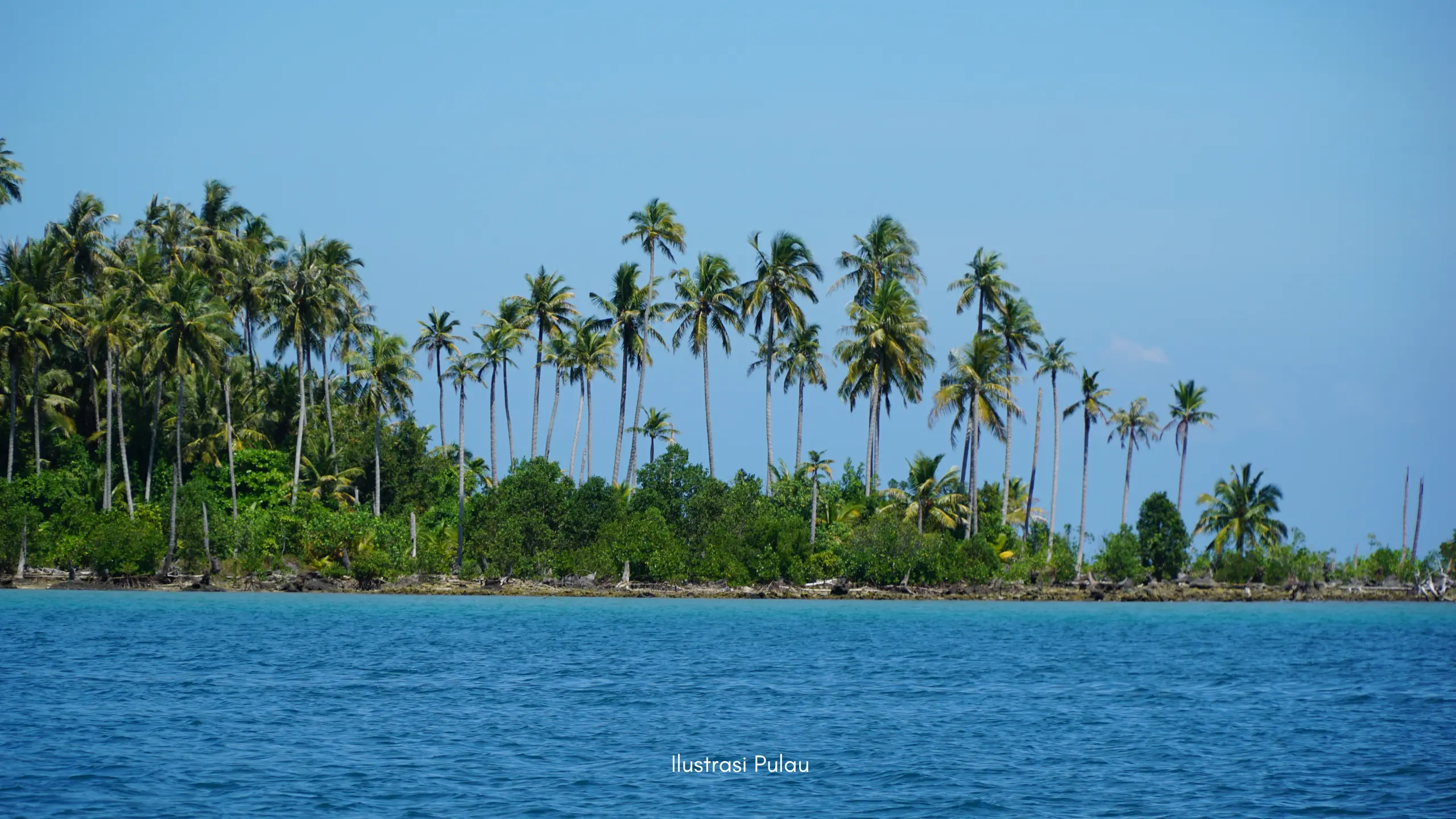 Pudarnya Bahasa Haloban ditengah Generasi Milenial Pulau Banyak Barat ...